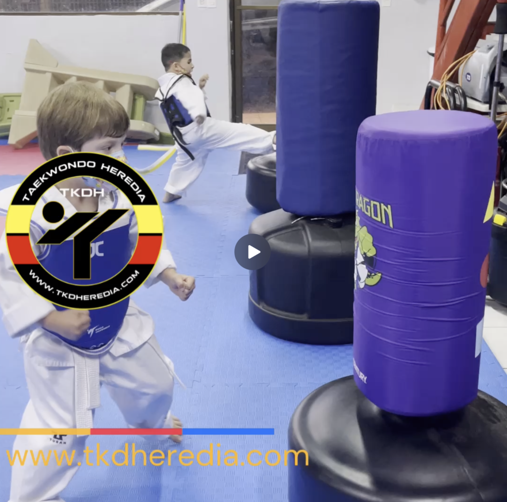 LECCIONES PARA NIÑOS EN TKDH