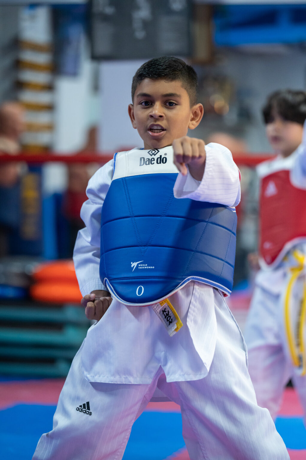 Taekwondo para Niños: Fortaleciendo Mentes y Espíritus
